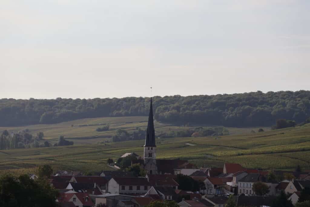 Présentation champagne – Champagne PASCAL LALLEMENT