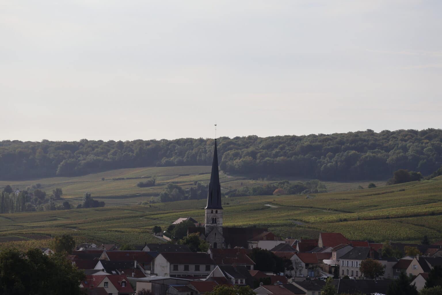 Présentation champagne – Champagne PASCAL LALLEMENT